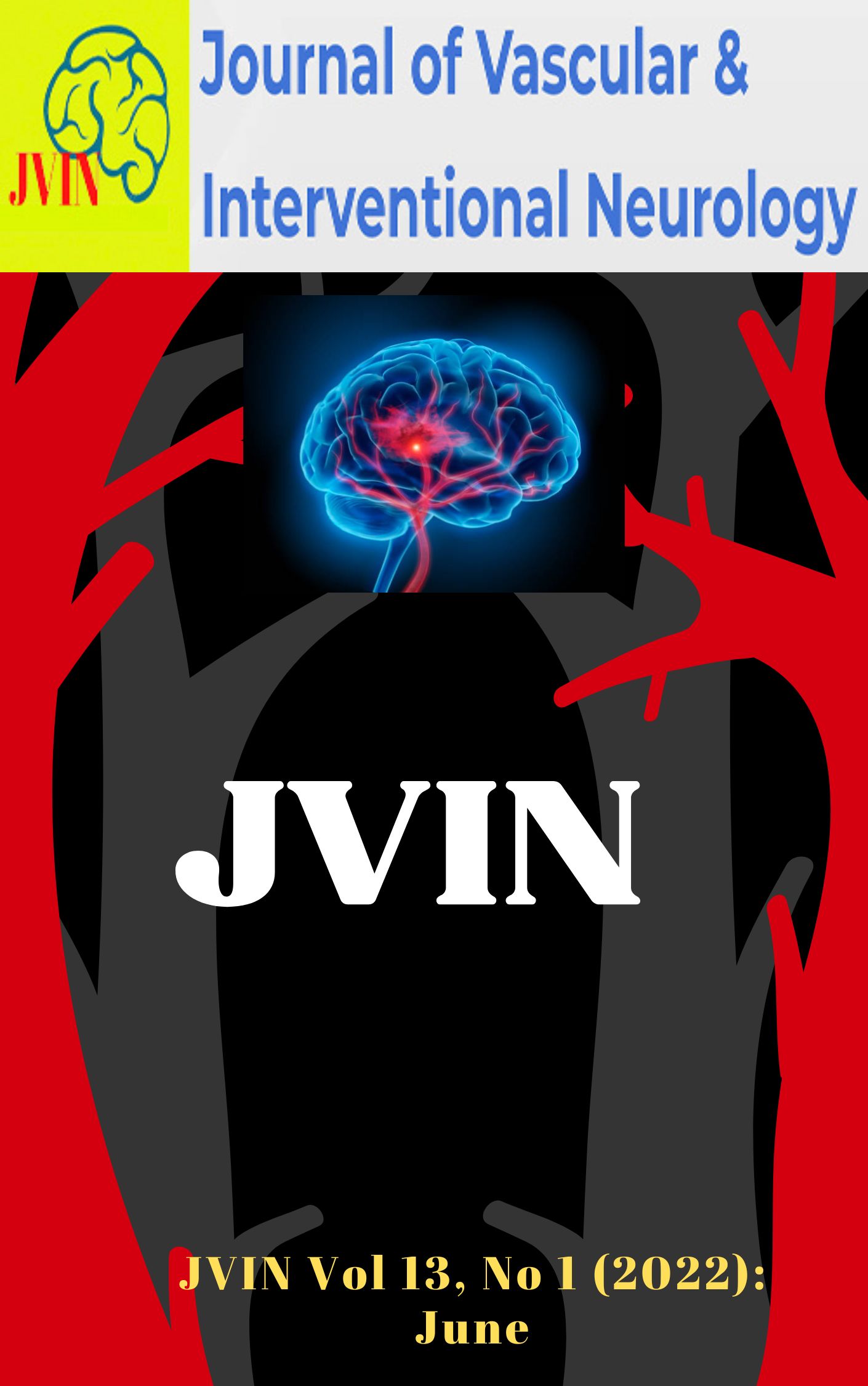 JVIN – MENA-SINO